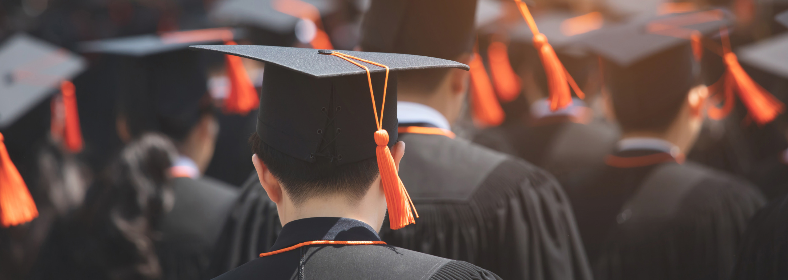 How University Pathways Works - VGC International College