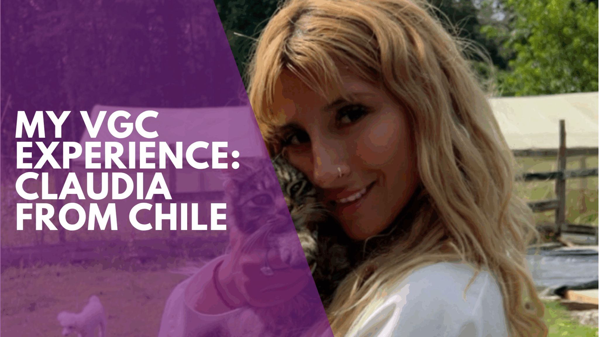 VGC International College - VGC International College